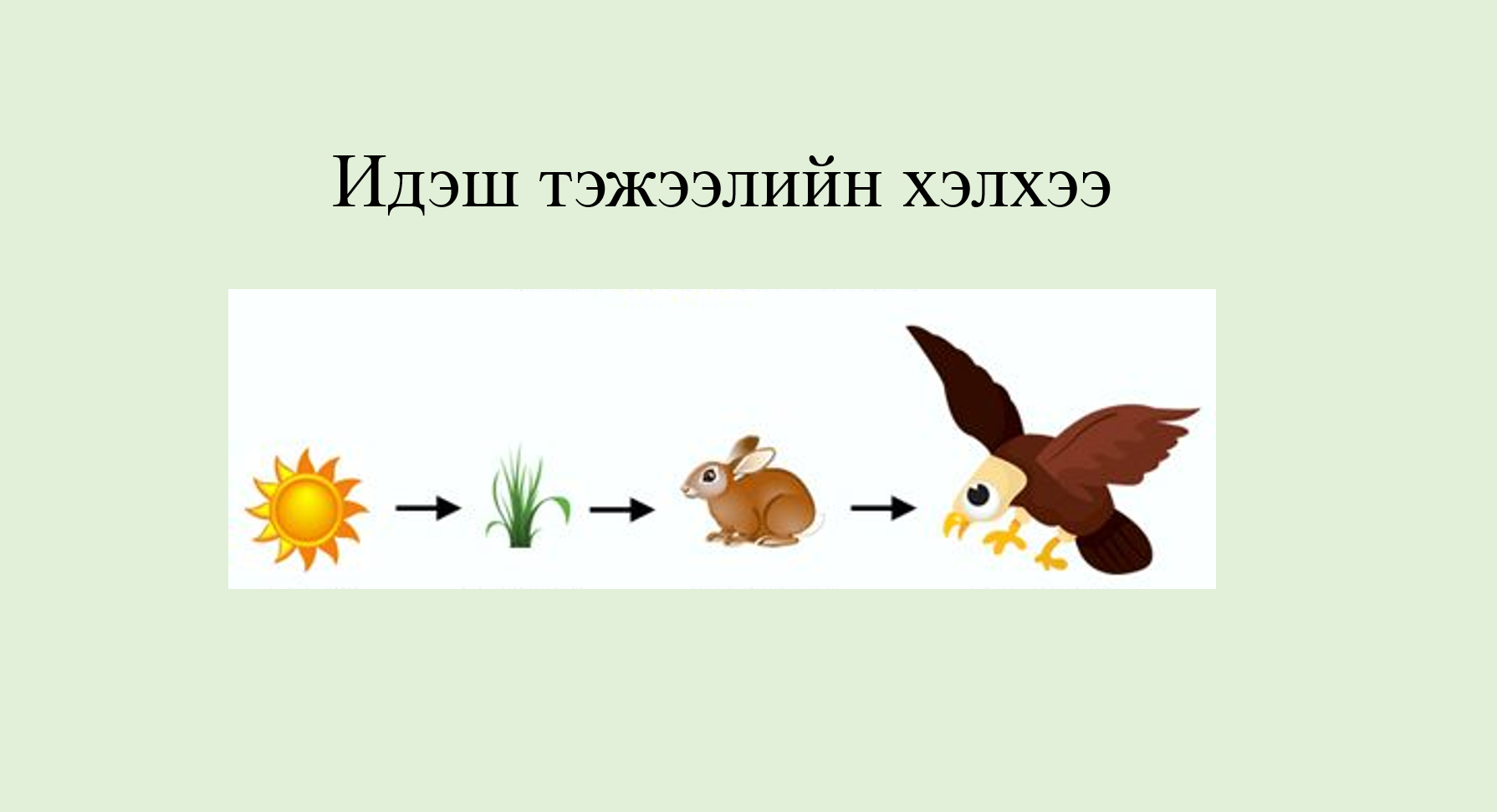 Мэдлээ Цахим контент